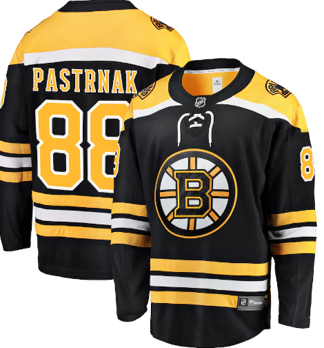 David Pastrnak Hockey Player, Wife, Contract, Jersey, & Family